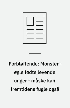 Forbløffende: Monster-øgle fødte levende unger - måske kan fremtidens ...
